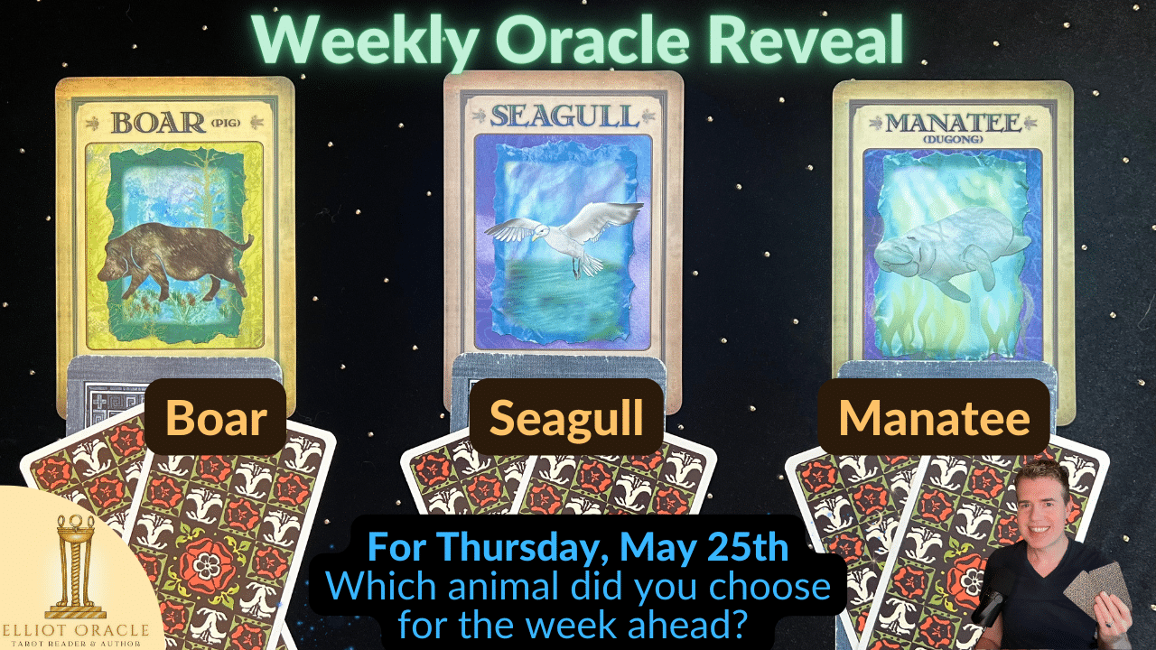 Weekly Oracle Reveal | Reading for May 25th to 31st | Elliot Oracle
