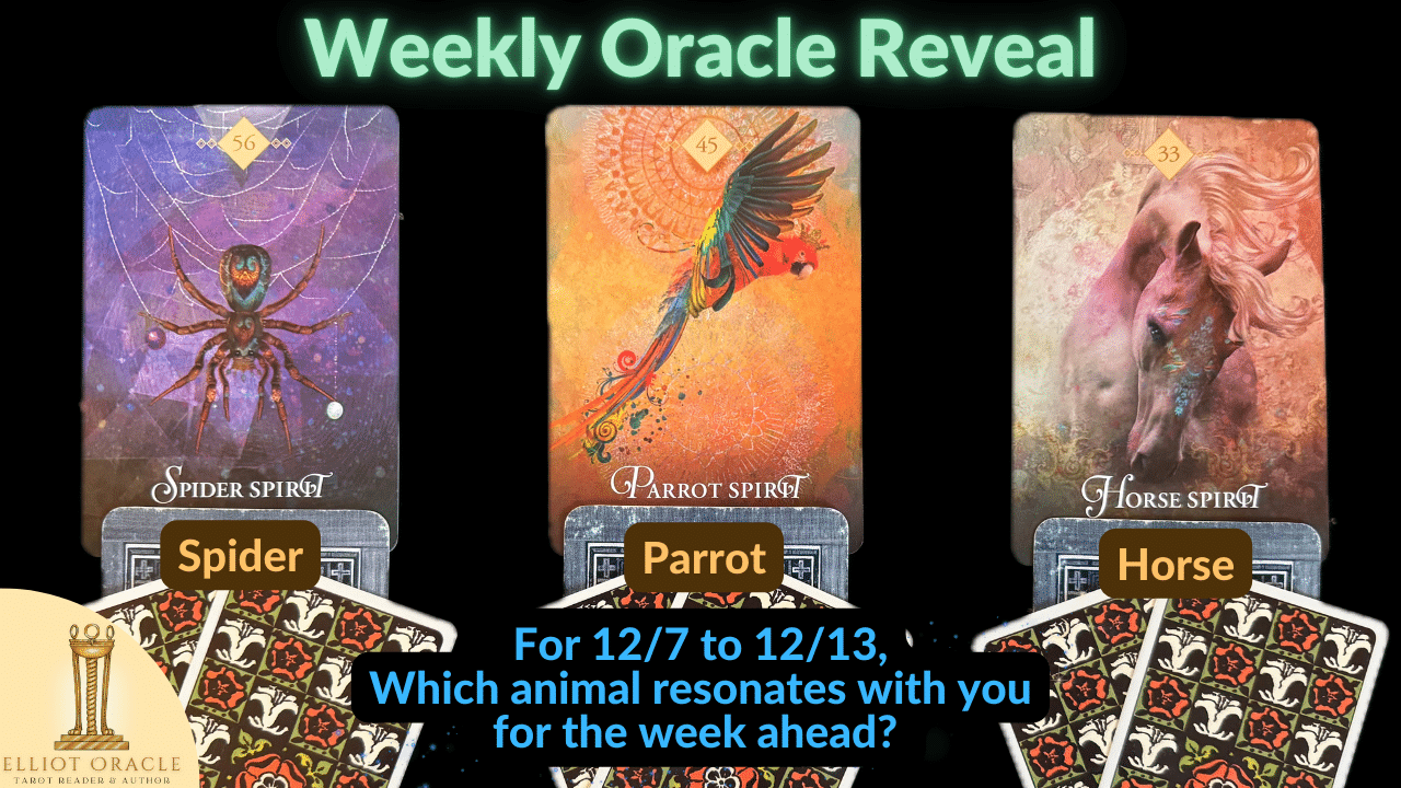 Weekly Oracle Reveal | Reading for Dec 7 to 13 | Elliot Oracle
