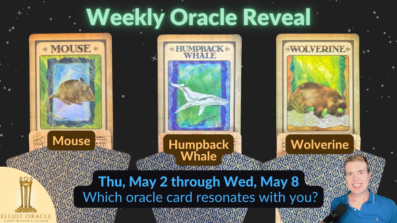 Weekly Oracle Reveal | Reading for May 2 to 8 | Elliot Oracle