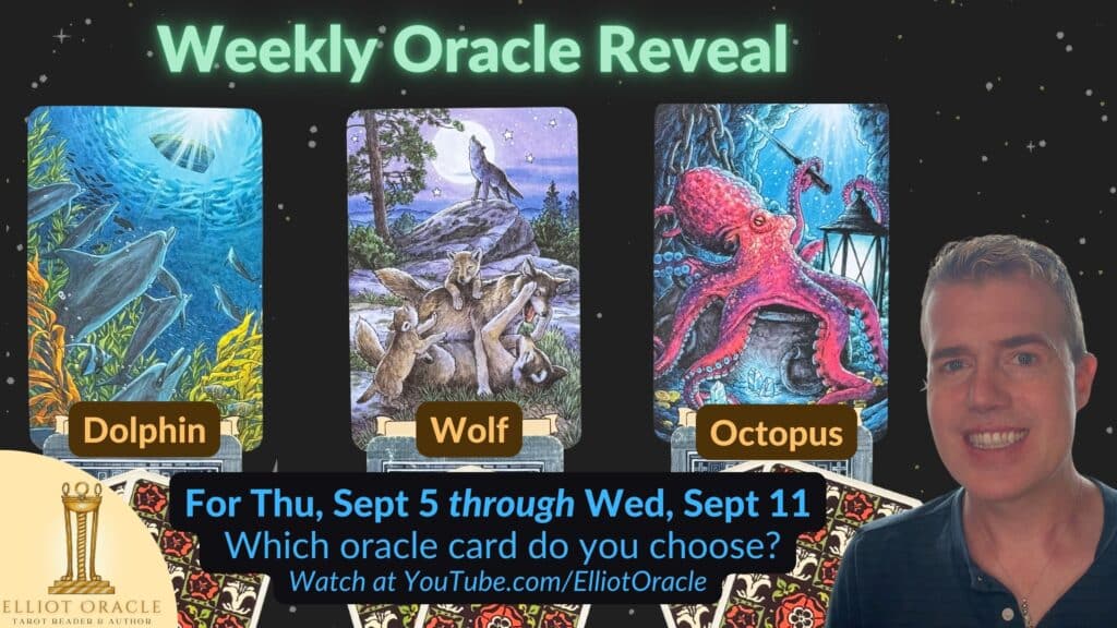 Weekly Oracle Reveal | Reading for September 5 to 11 | Elliot Oracle