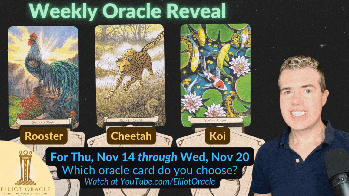 Weekly Oracle Reveal | Reading for Nov 14 to 20 | Elliot Oracle
